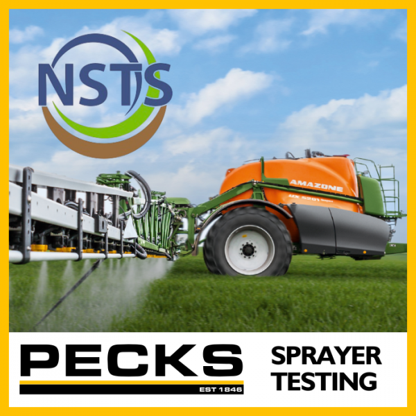 NSTS Testing - Pecks Ltd